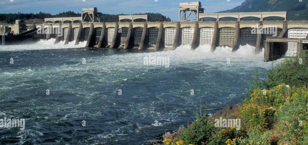 The Largest Dams In The United States In 2024 - Energynews.pro